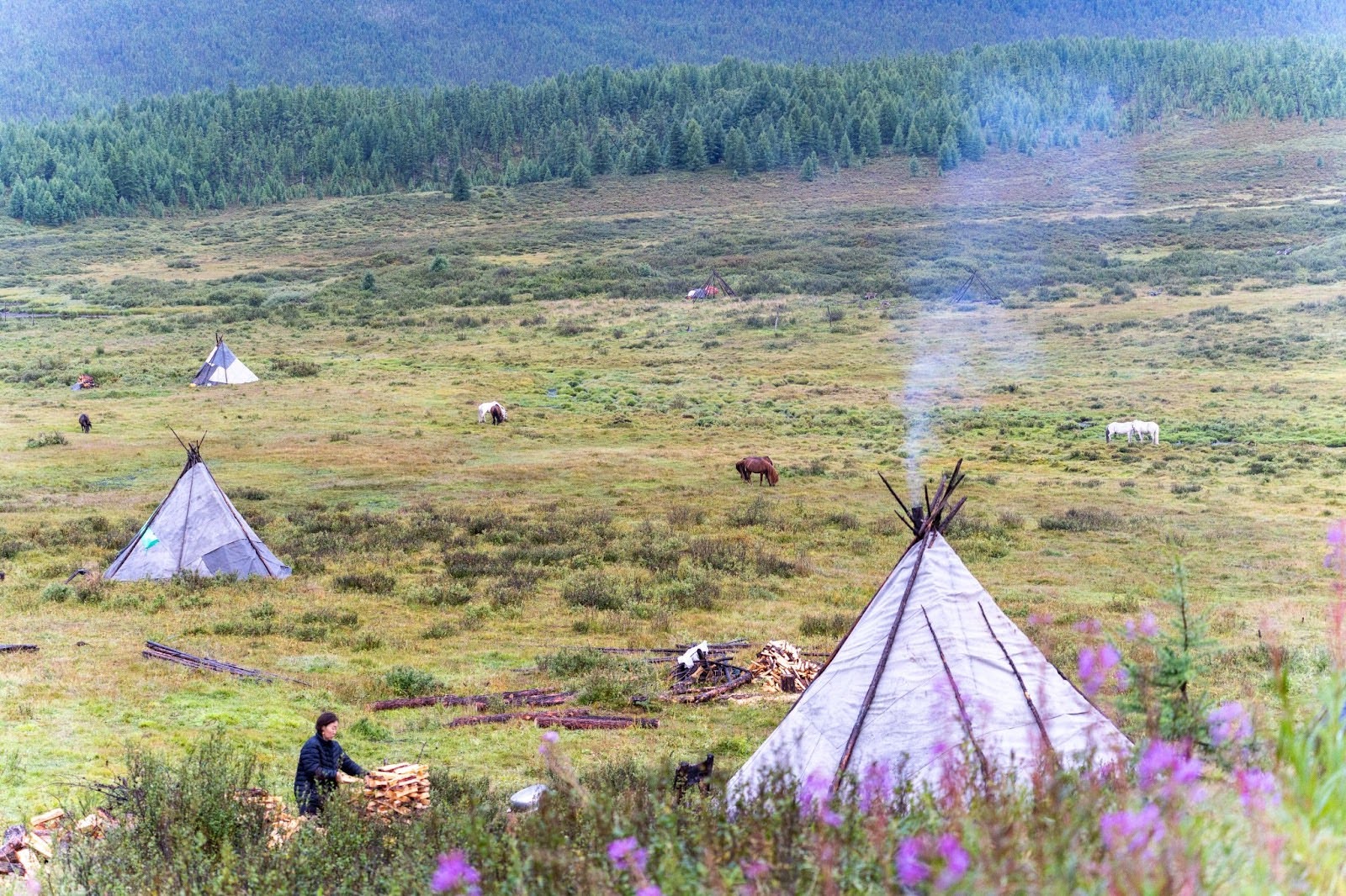 Waarom je de Tsaatan rendierherders in Mongolië moet bezoeken