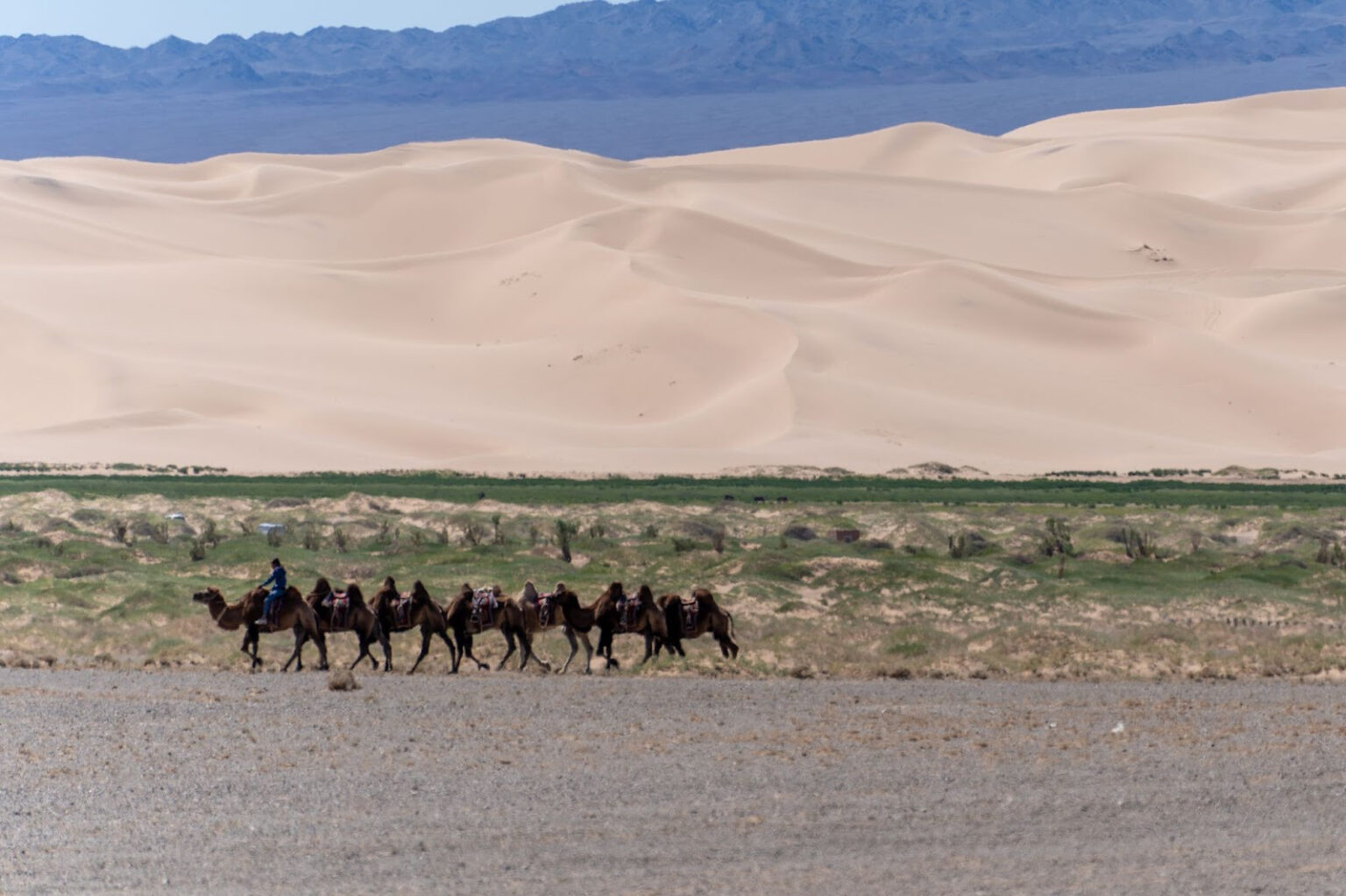 Plan Your Visit to Khongoryn Els: Mongolia’s Singing Sand Dunes